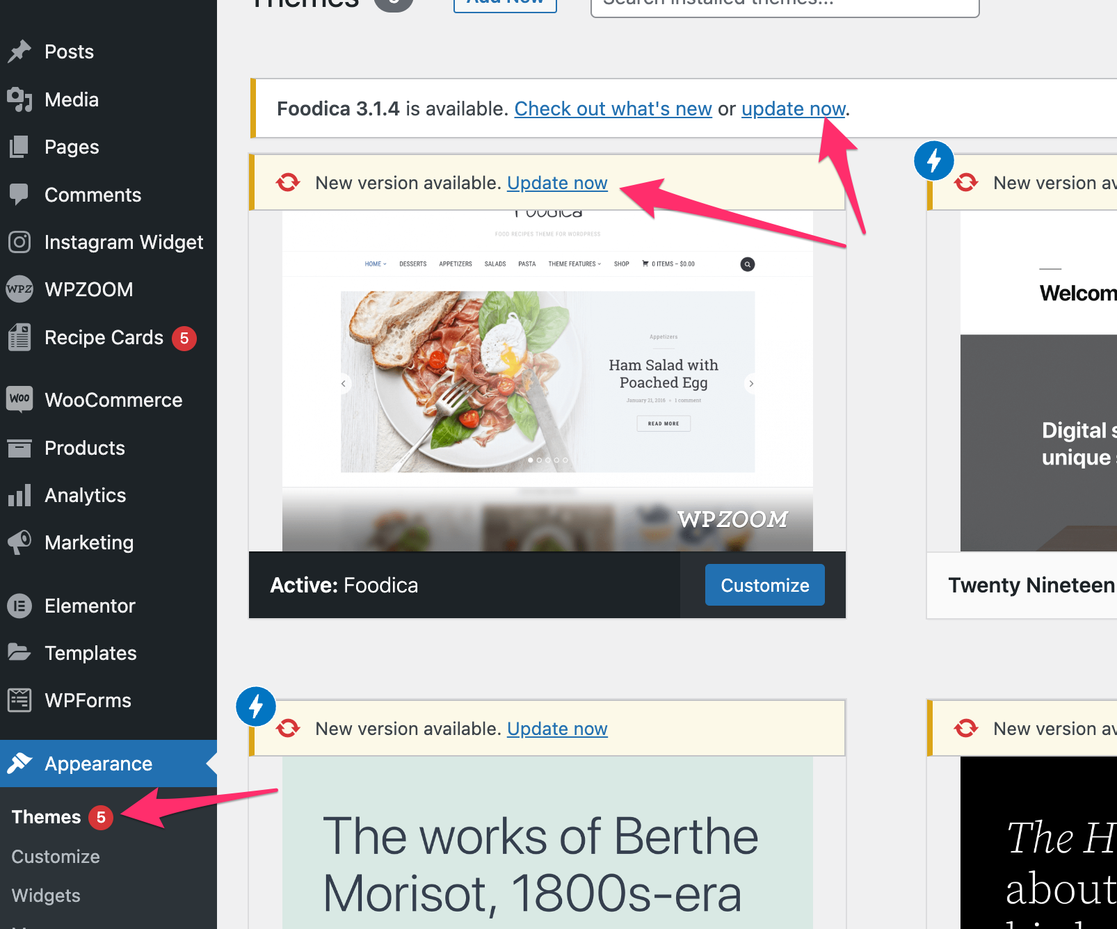 How to Update a WPZOOM Theme using the 1-Click Updater - WPZOOM