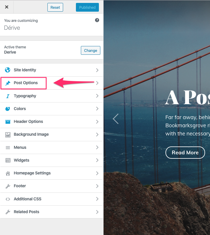 Derive - Customize Post Options - Documentation - WPZOOM