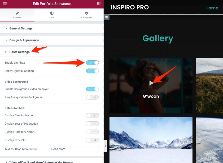 Inspiro PRO - Video Lightbox - Documentation - WPZOOM